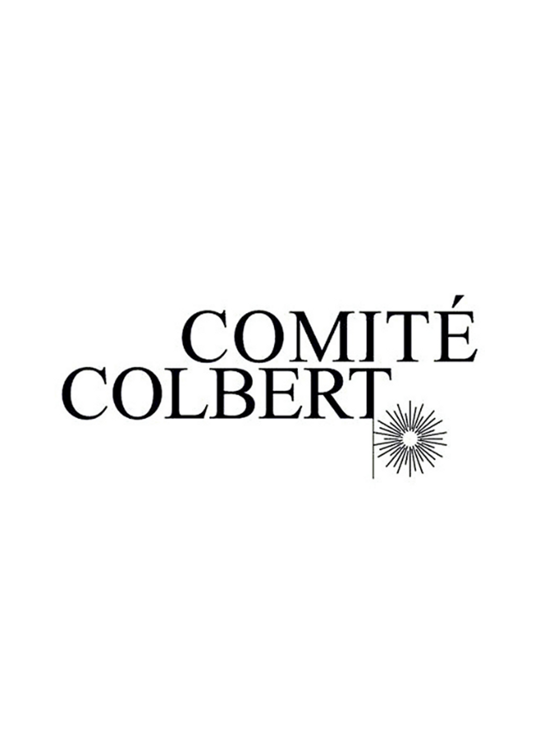 Qui sont les six nouveaux membres du Comité Colbert