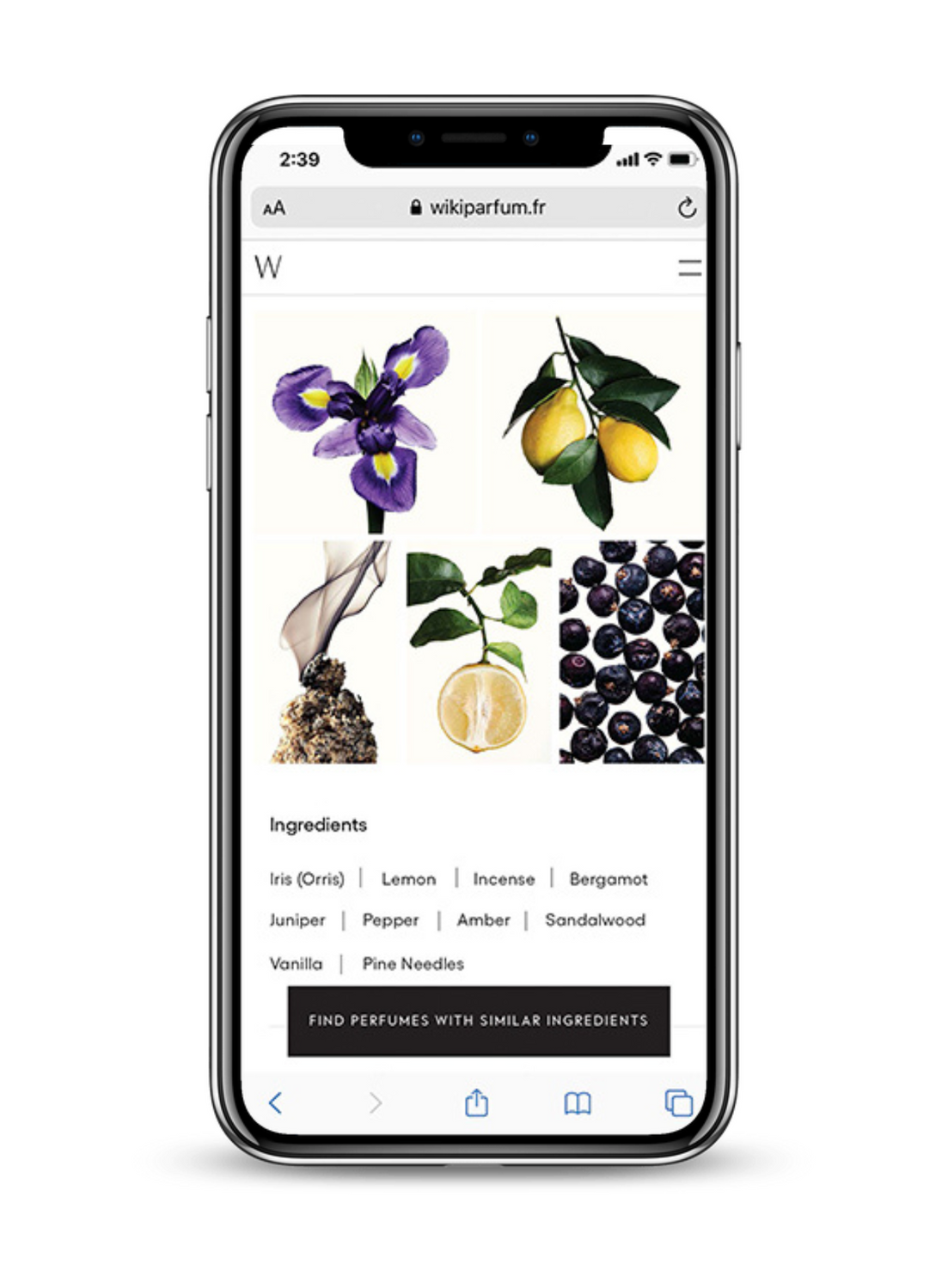 WikiParfum : que retenir de la nouvelle plateforme beauté de Puig